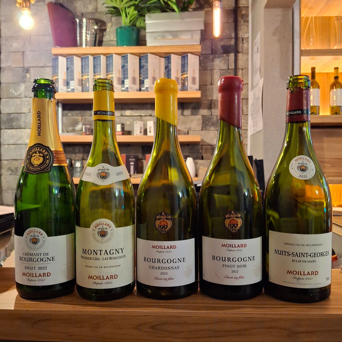 Taste Testing Maison Moillard's Diverse Range of White, Red & Sparklin ...