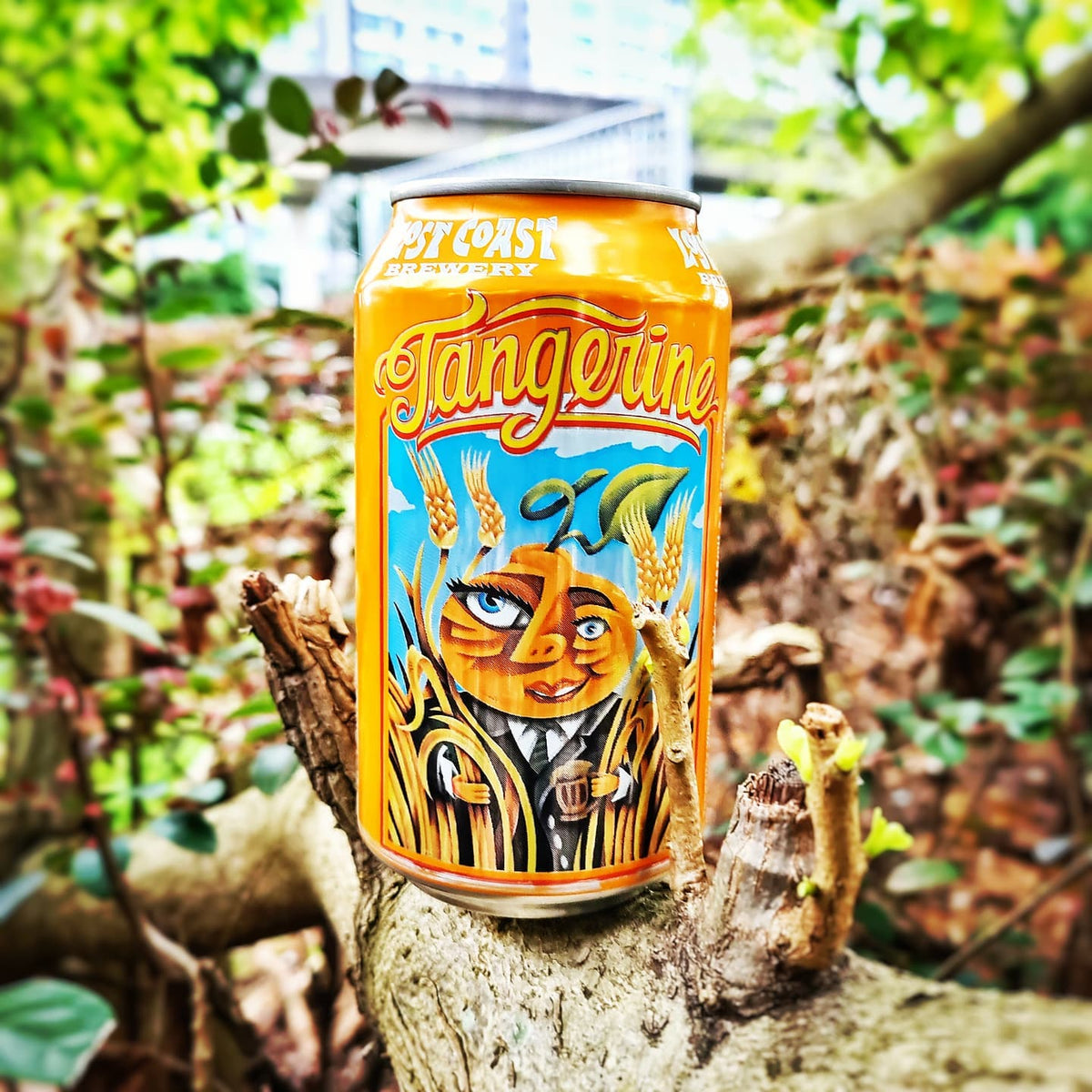 Tangerine Wheat Ale, Lost Coast Brewery, 5.2% ABV – 88 Bamboo