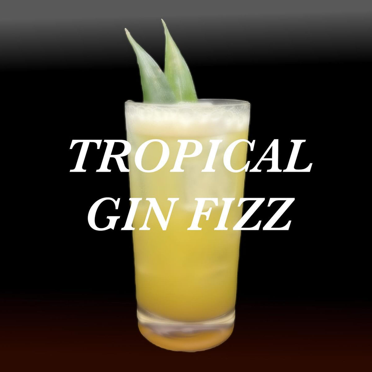 Tropical Gin Fizz – 88 Bamboo