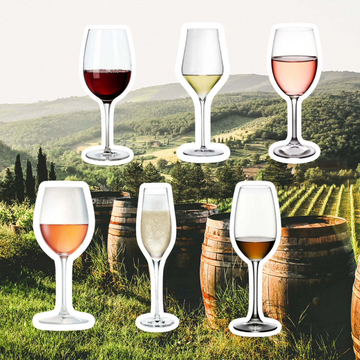 Wine 101: The Six Main Types of Wine, Explained for Beginners! – 88 Bamboo