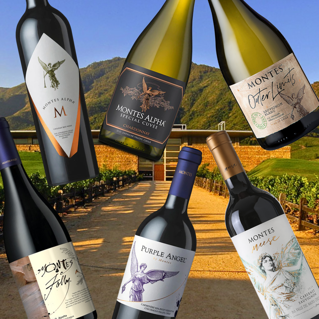 Taste Testing A Line Up Of Chile's Legendary Montes Wines: Alpha M, Pu ...