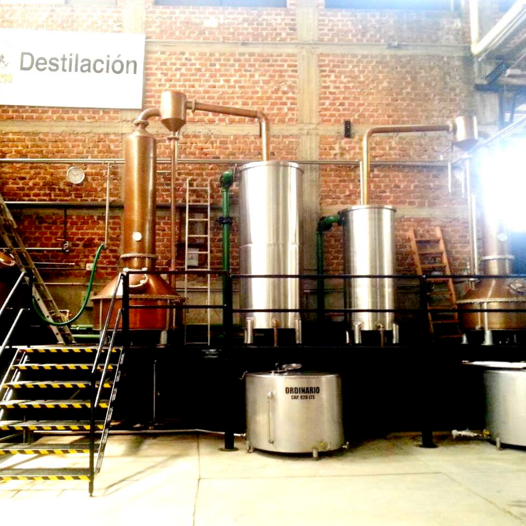 The Modern Tequila Production - Diffusers, Pot Stills & Column Stills ...